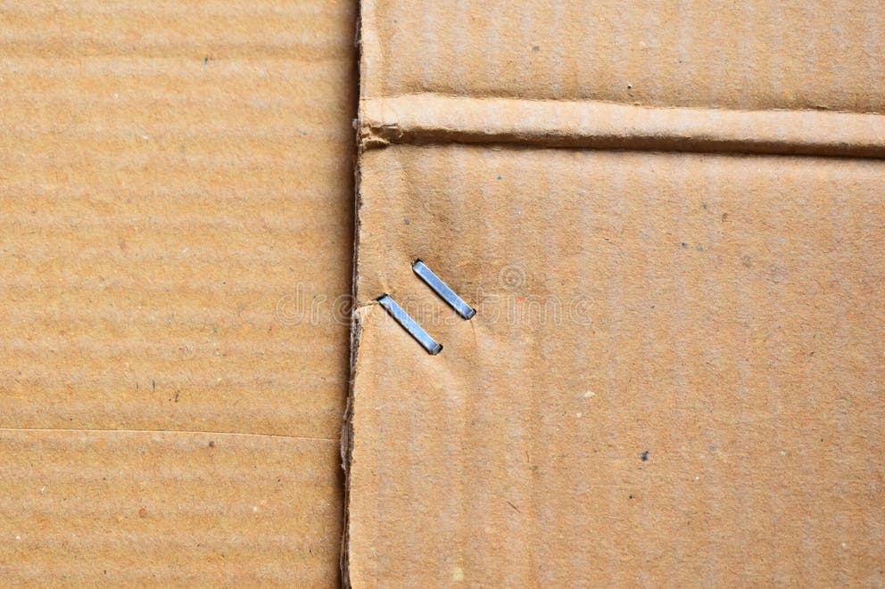 Metal staple on cardboard stock image. Image of stapled - 332440487
