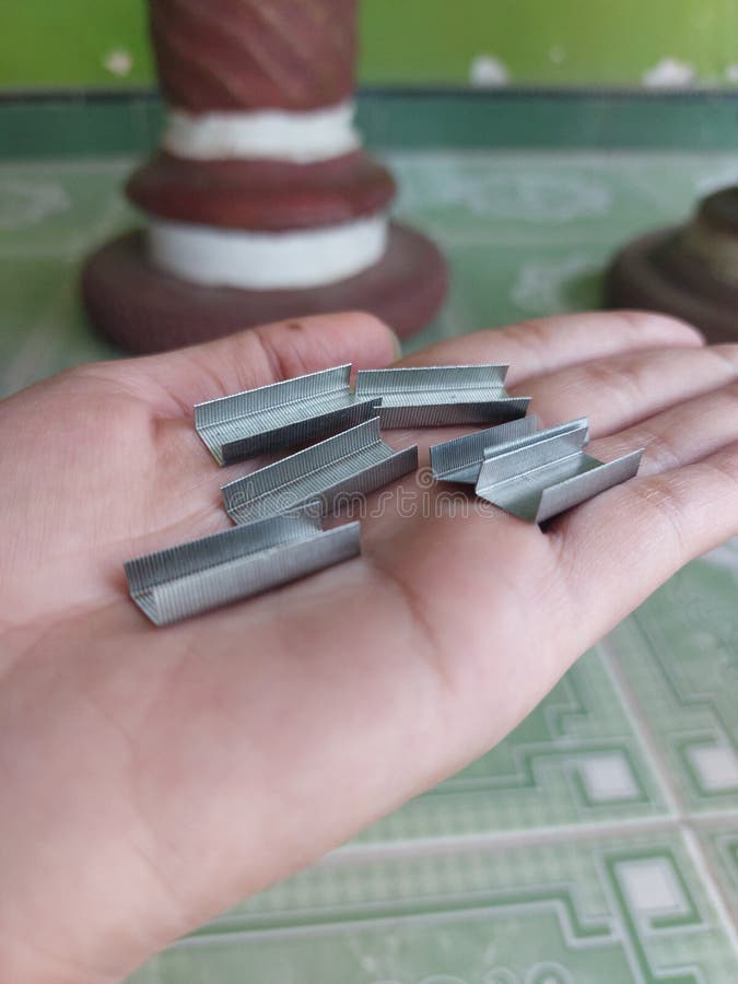 Metal staples refill stock image. Image of clip, school - 267501651