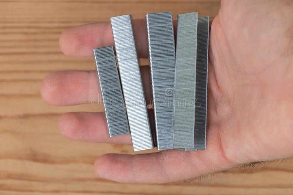 Metal Staples for Staple Machine on in the Hand of a Man Stock Photo ...