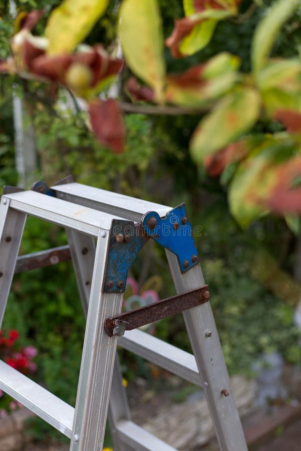 A metal step ladder stock photo. Image of small, aluminum - 287731190
