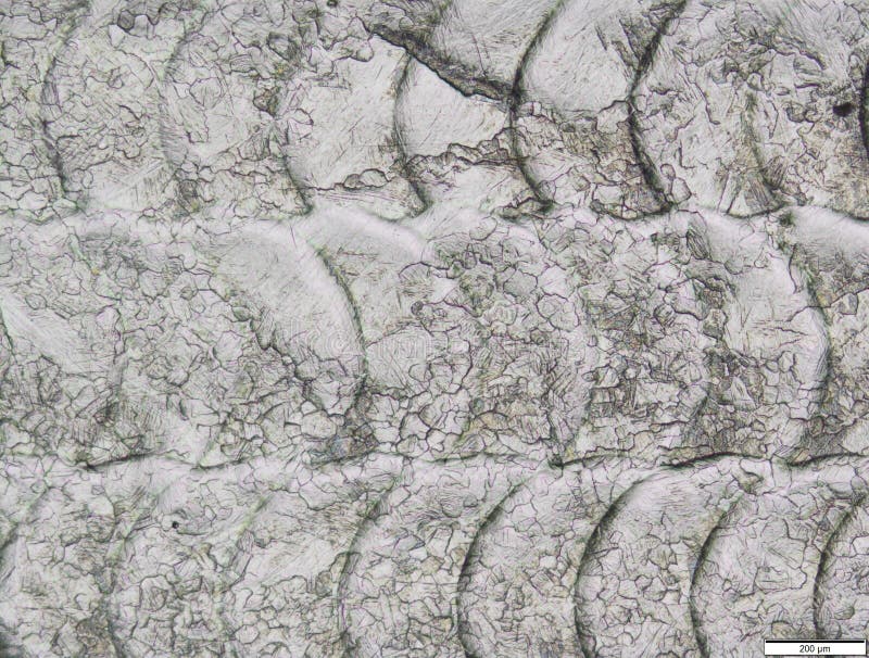 Metal Surface Laser Treatment. Stock Photo - Image of microscope ...