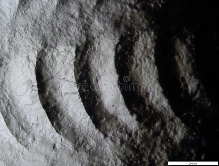 201 Metallurgical Sample Stock Photos - Free & Royalty-Free Stock ...