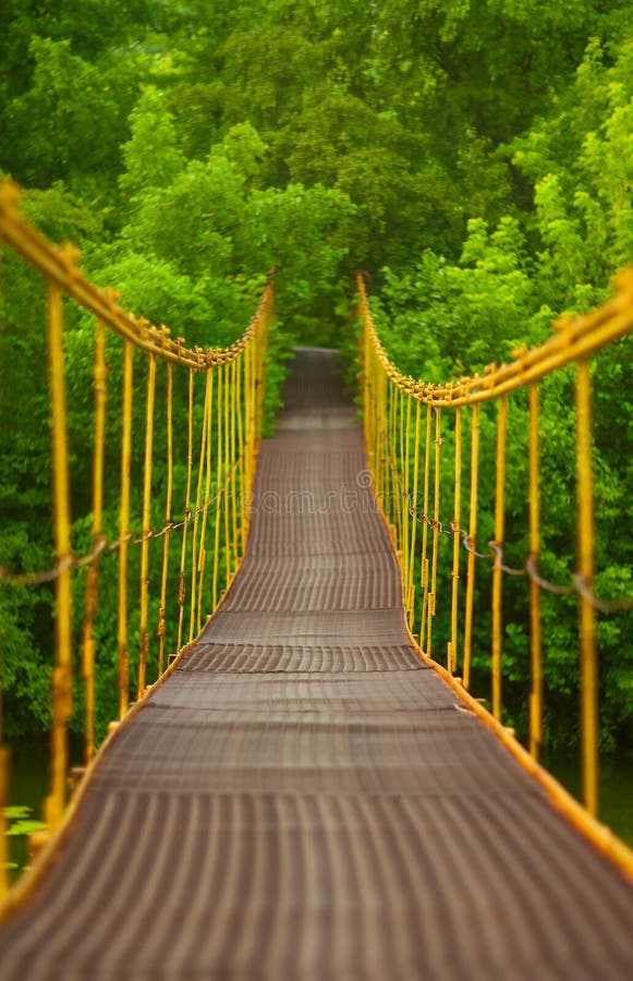 Metal Suspension Bridge Built Over a Ravine with a River Stock Photo ...