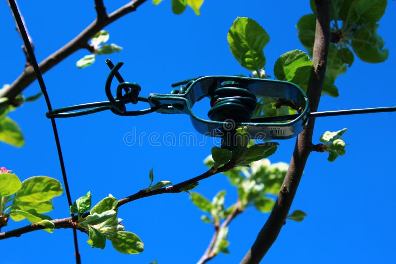 The Metal Tab on the Sky Background. Stock Photo - Image of hook, soft ...