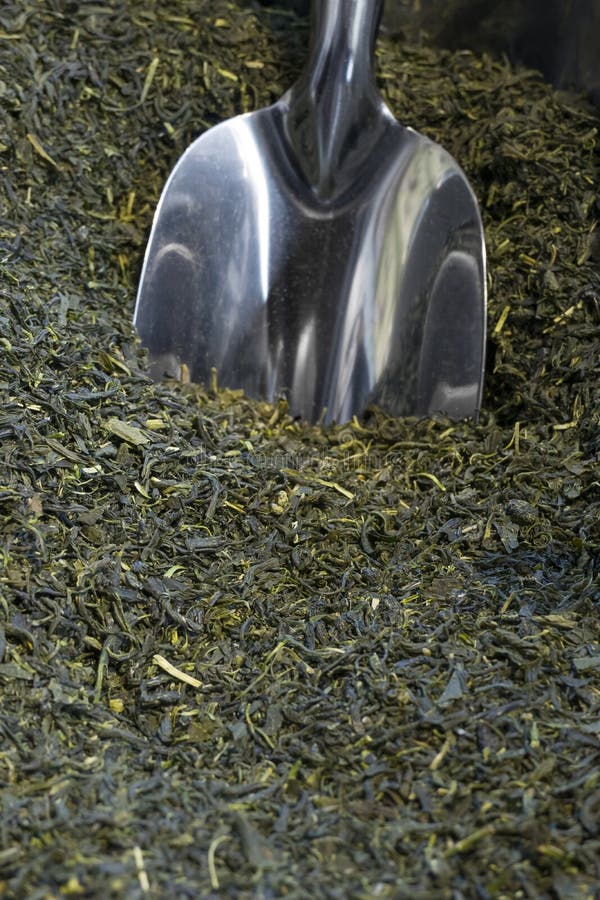 Metal Tea Scoop in Japanese Green Tea Stock Image - Image of healthy ...