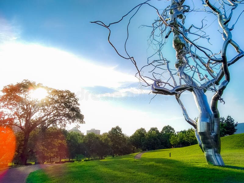 Metal in Tree stock photo. Image of acres, cellar, flying - 90059338