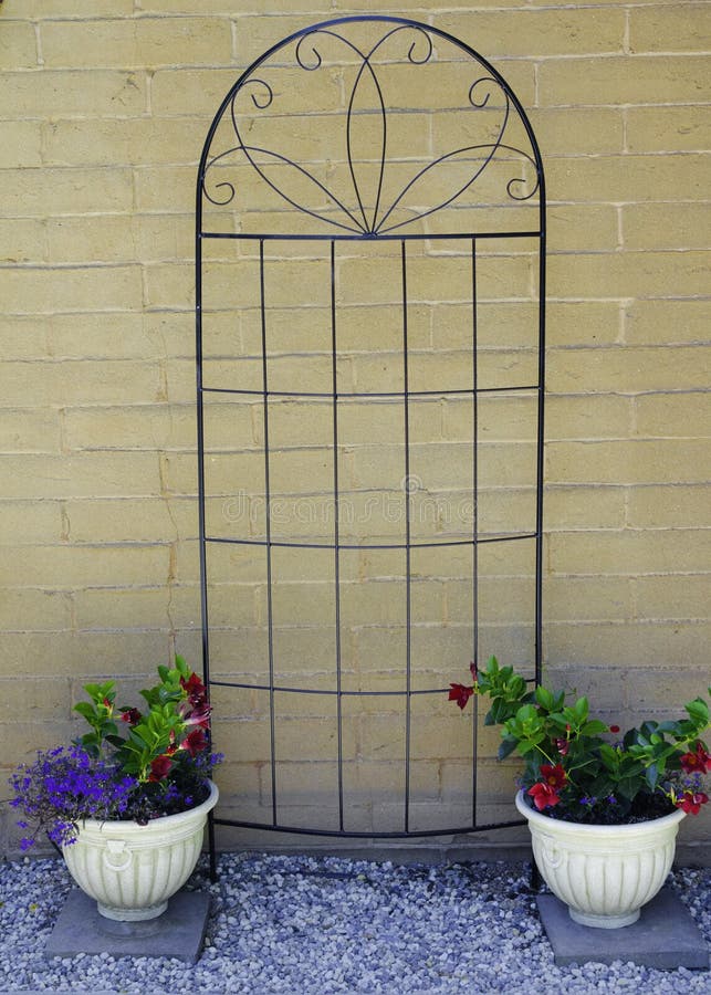 A Metal Trellis for Trailing Plants Adorned with Two Flower Pots Stock ...