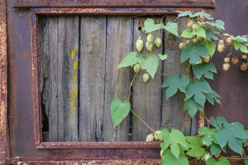 Old Rust Window with Styled Iron Grid Stock Photo - Image of window ...