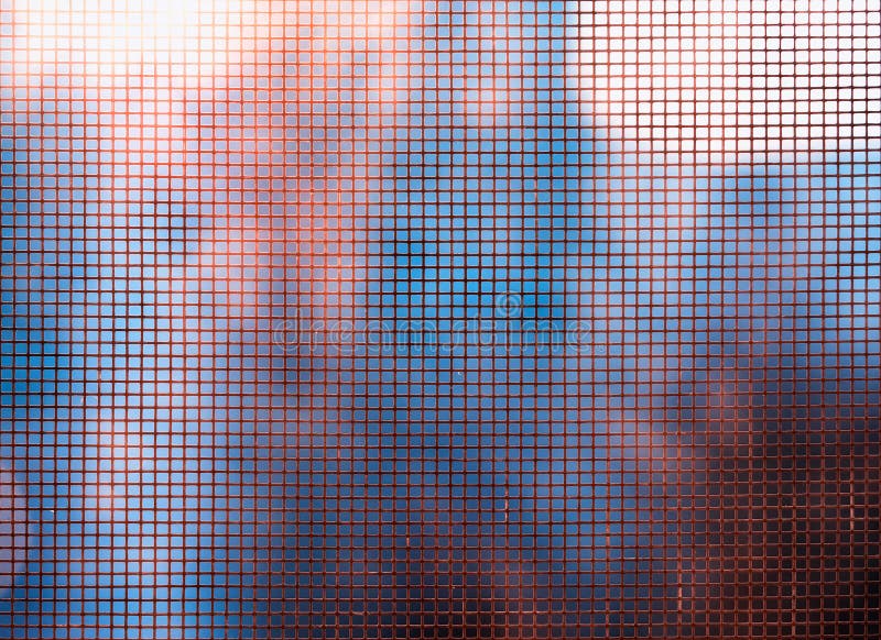 Window with Grid and Spider Web Stock Photo - Image of abstract ...