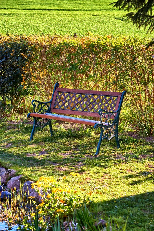 Metal and Wood Bench in Green with Nature Background Stock Photo ...