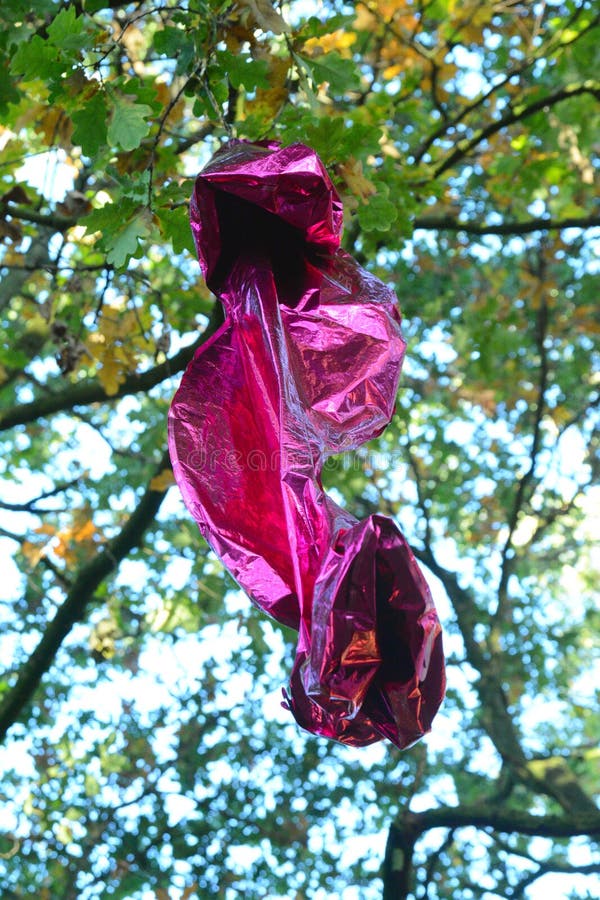 Discarded Deflated Purple Balloon Stock Photo - Image of agriculture ...