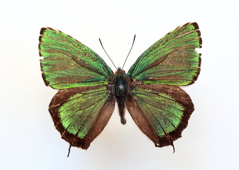 Metallic Cerulean stock image. Image of japanese, background - 78851425