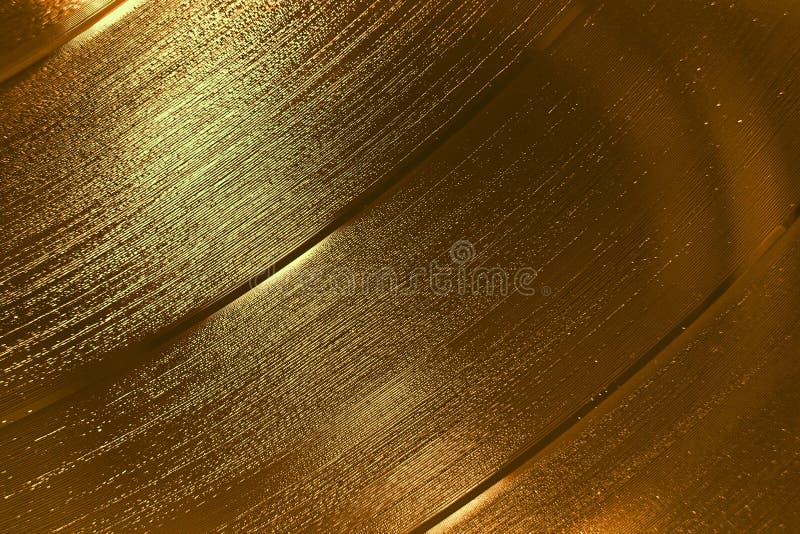539 Gold Vinyl Record Stock Photos - Free & Royalty-Free Stock Photos ...