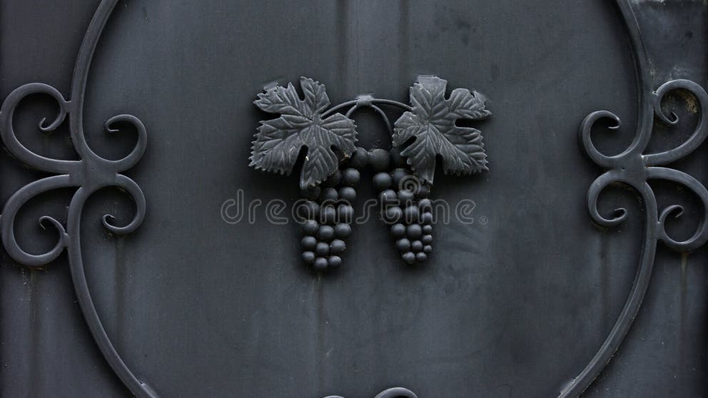 Metallic grape stock photo. Image of fruit, crop, branch - 21048108