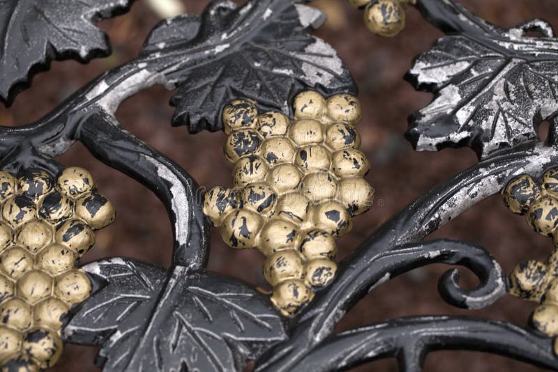 Metallic grapes and vine stock image. Image of metallic - 82752379