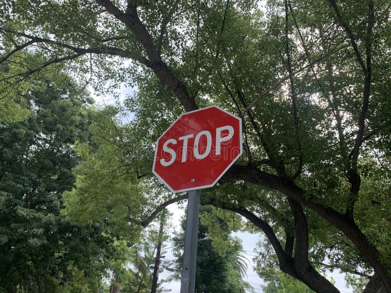 Metallic Red Road STOP Sign on the Side of the Road Under the Trees ...