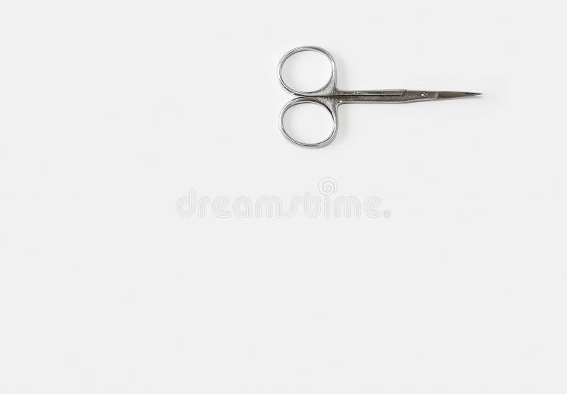Metallic Silver Manicure Sharp Scissors on a White Background Stock ...