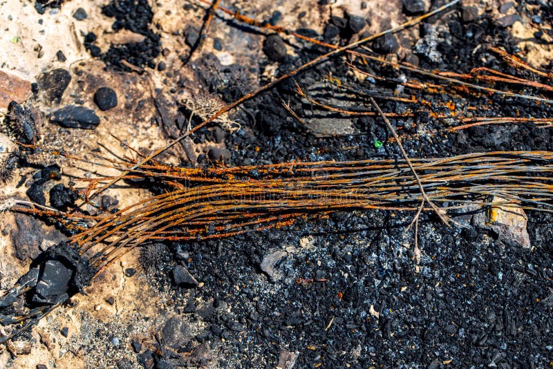 Metallic Threads in the Burned Wheel of the Car As a Background Stock ...