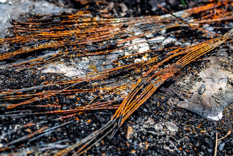 Metallic Threads in the Burned Wheel of the Car As a Background Stock ...