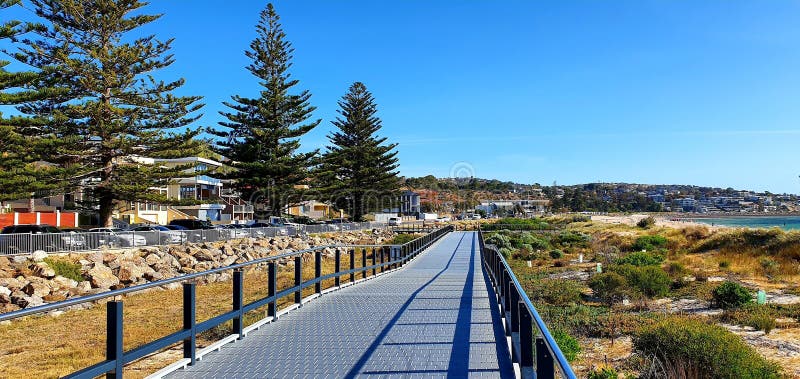 Metallic Walking Path by the Beach Surrounded by Tall Spruce Trees on a ...