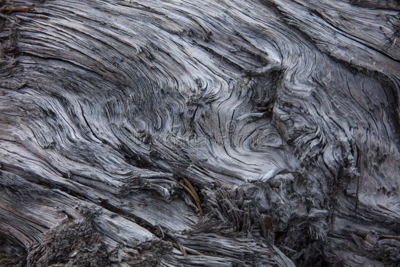 Metallic wooden texture stock image. Image of color - 187801007
