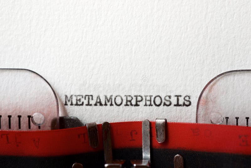 Metamorphosis concept view stock photo. Image of elegant - 234865308