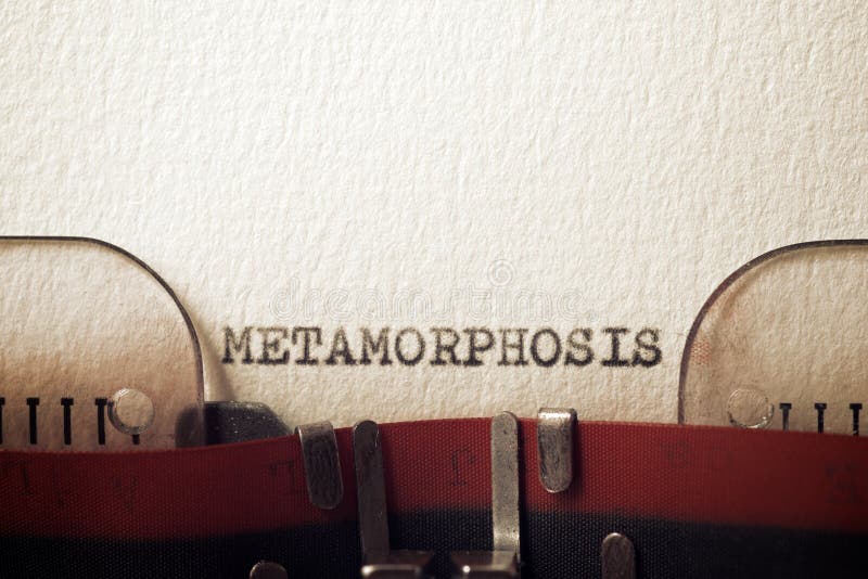 Metamorphosis concept view stock image. Image of change - 234865309