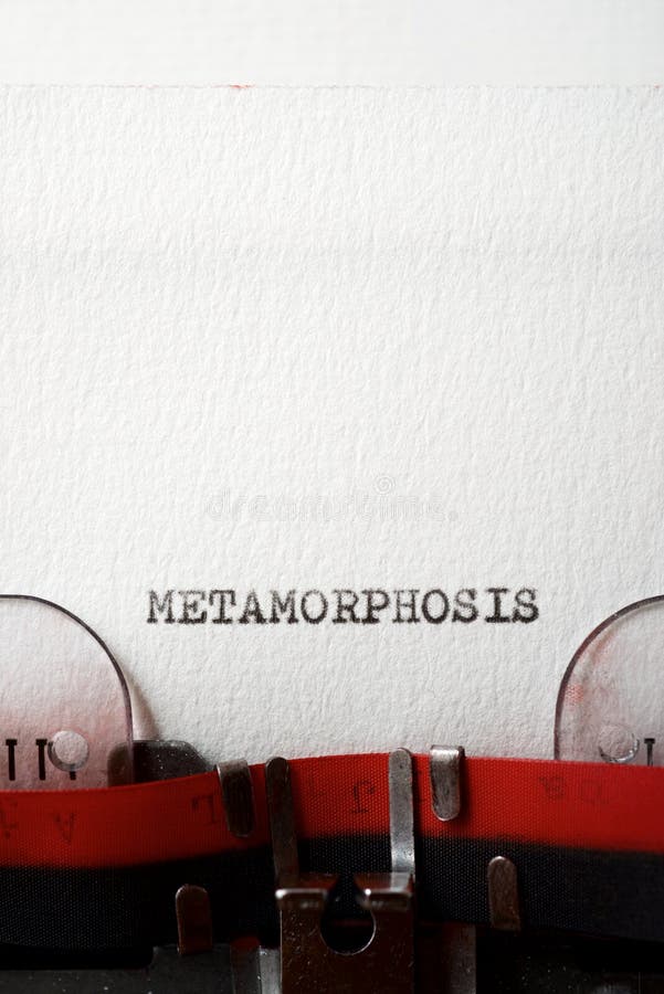 Metamorphosis concept view stock photo. Image of analog - 234865330