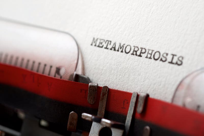 Metamorphosis concept view stock photo. Image of analog - 234865352