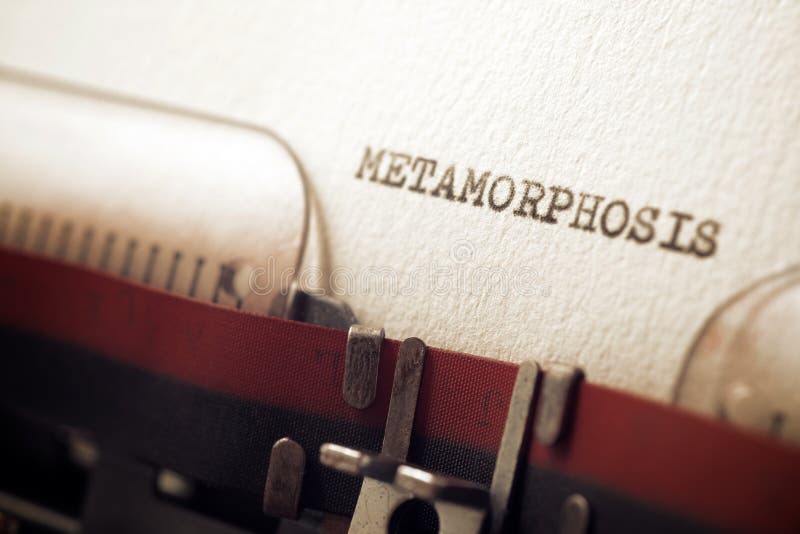 Metamorphosis concept view stock image. Image of stage - 234865355