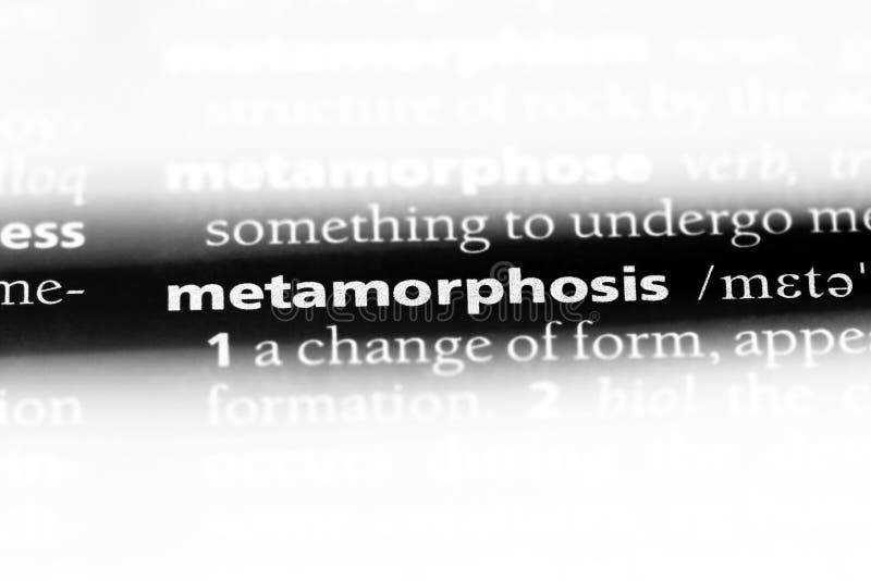 Metamorphosis Stock Images - Download 11,540 Royalty Free Photos