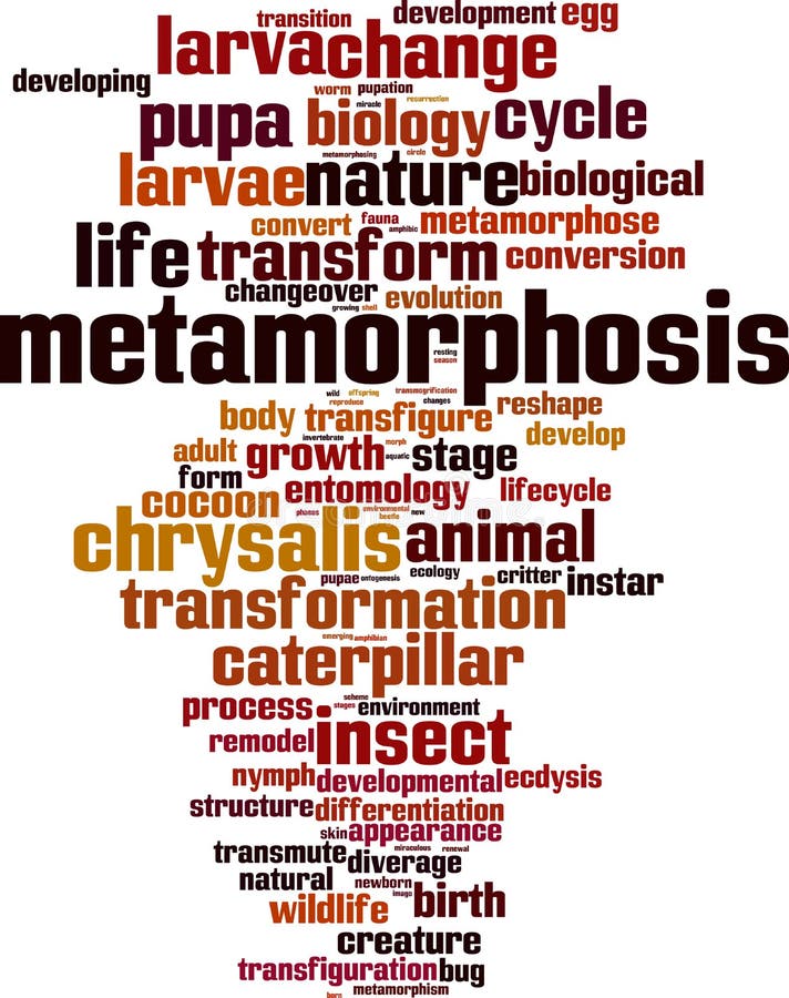 Metamorphosis word cloud stock vector. Illustration of birth - 197214803