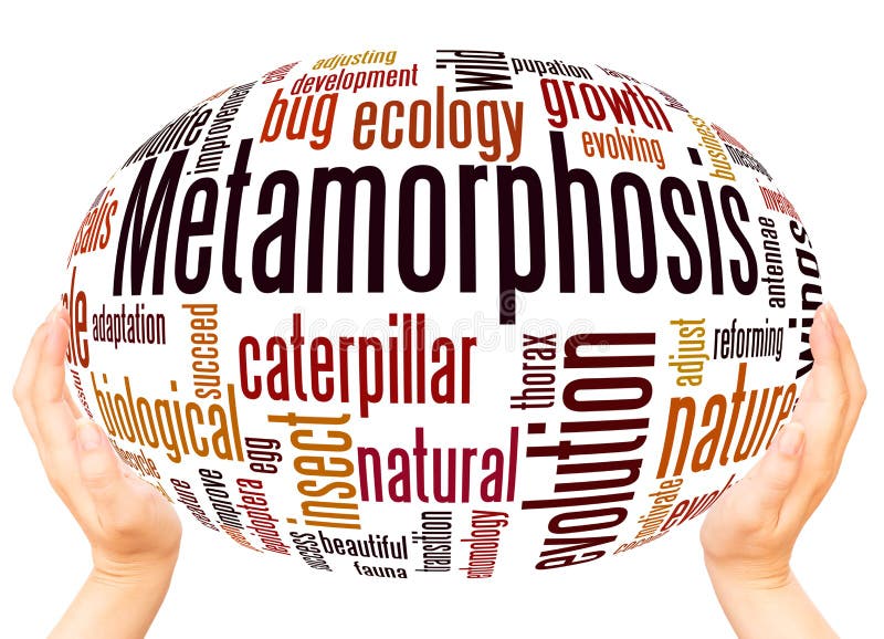 Metamorphosis Word Stock Illustrations – 91 Metamorphosis Word Stock ...