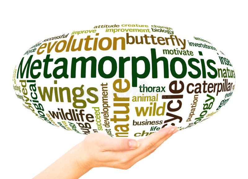Metamorphosis Word Cloud Sphere Concept Stock Illustration ...