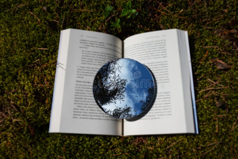 Metaphor. Reading is Like Growing a Tree Stock Image - Image of ...