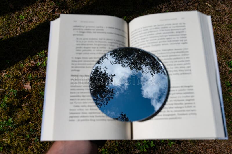 Metaphor. Reading is Like Growing a Tree Stock Photo - Image of reading ...