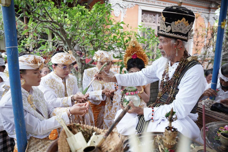 Metatah BALI editorial photo. Image of grown, eliminate - 290529431