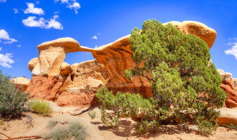 Metate Arch stock photo. Image of arch, park, staircase - 43848154
