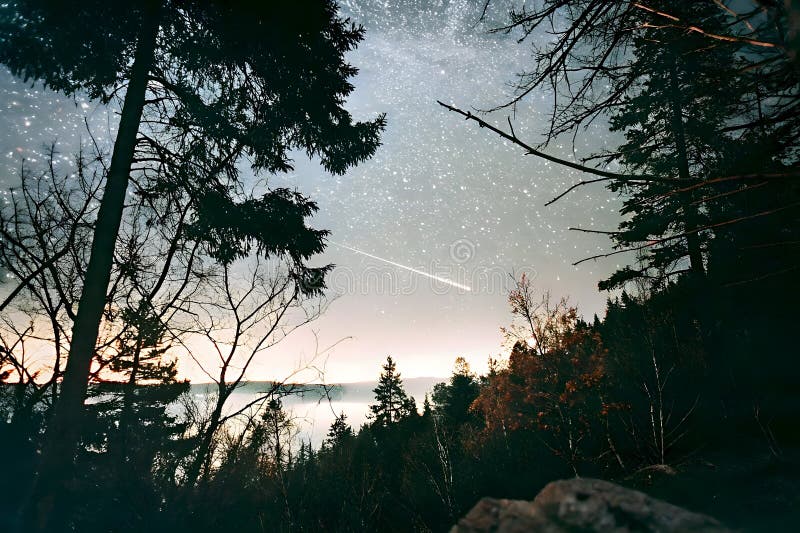 Meteor Shower Over Forest Night Sky Stock Illustration - Illustration ...