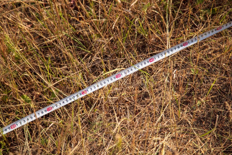 Meter is Lying on the Grass As a Background Stock Image - Image of ...