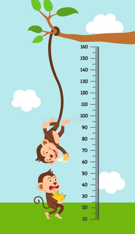 Meter Wall with Monkey. Illustration. Stock Vector - Illustration of ...