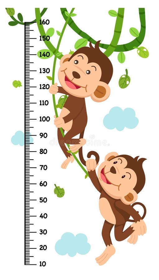 Meter Wall with Monkey Vector Stock Vector - Illustration of long ...