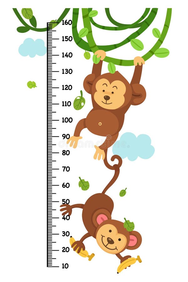 Meter Wall with Monkey Vector Stock Vector - Illustration of landscape ...