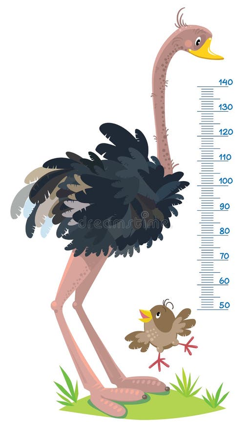 Metermuur Met Grappige Mus En Struisvogel Vector Illustratie ...