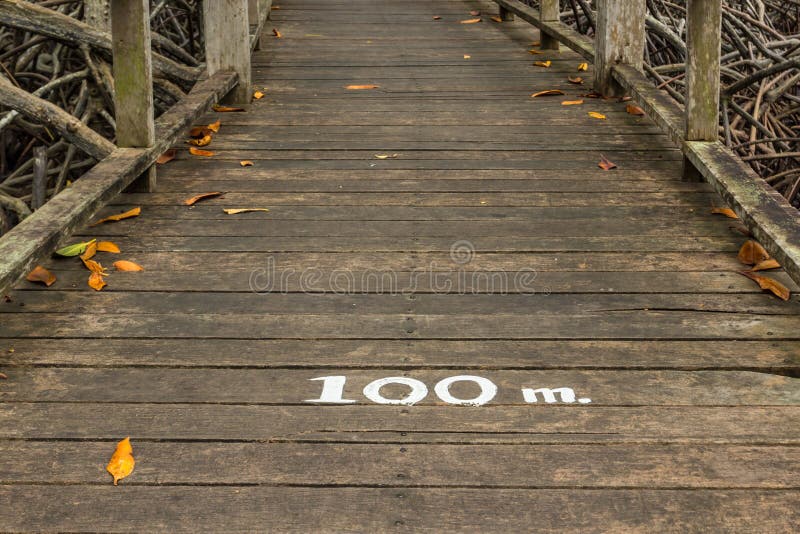 100 meters stock image. Image of athletic, hurdles, railhead - 32903839