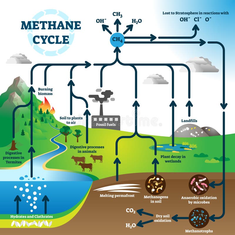 4+ Earth carbon cycle Free Stock Photos - StockFreeImages
