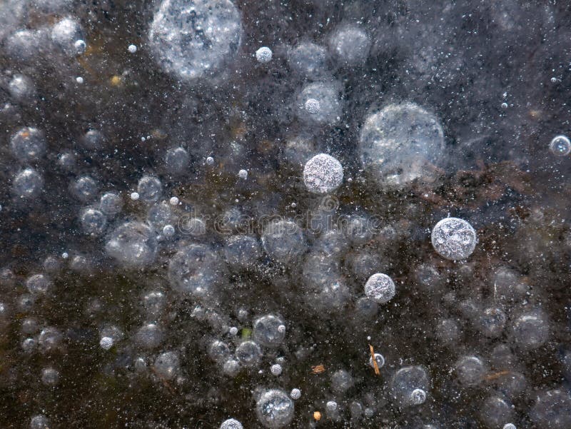 Methane Gas Bubbles Trapped in Ice and Green Gras Underwater at Lake ...