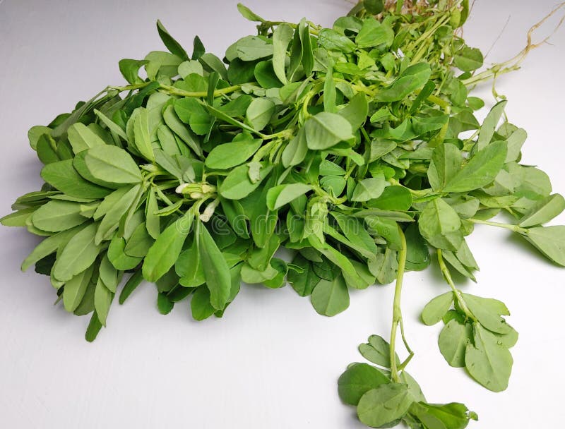Methi Leaves on a White Background in a Burlap Bag Stock Image - Image ...