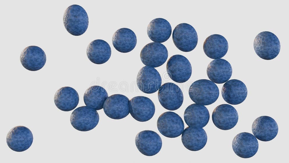 3d Staphylococcus Stock Illustrations – 817 3d Staphylococcus Stock ...