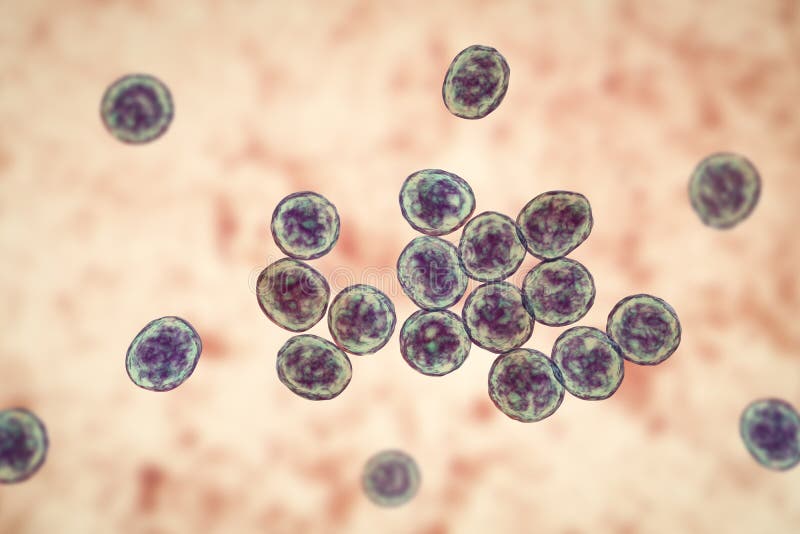 Methicillin-resistente Staphylococcus Aureus Mrsa Stock Abbildung ...